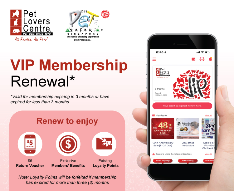 Can I still keep my loyalty points if I do not renew my expired VIP ...